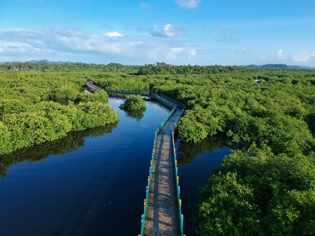 WEBINAR: Addressing the Twin Challenges of Mangrove Ecosystem ...