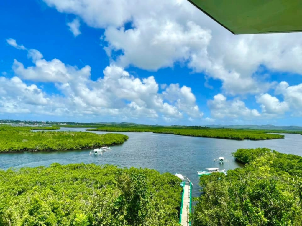 PH recognizes Del Carmen’s mangrove forest as wetland of international ...